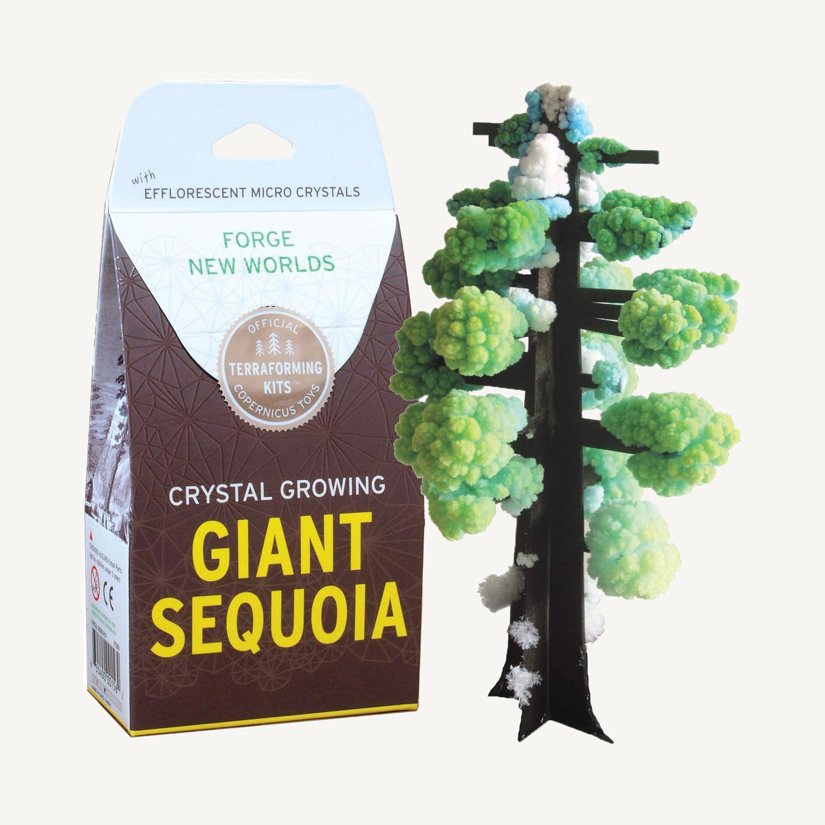 Crystal Growing Giant Sequoia – Civil Alchemy St Louis