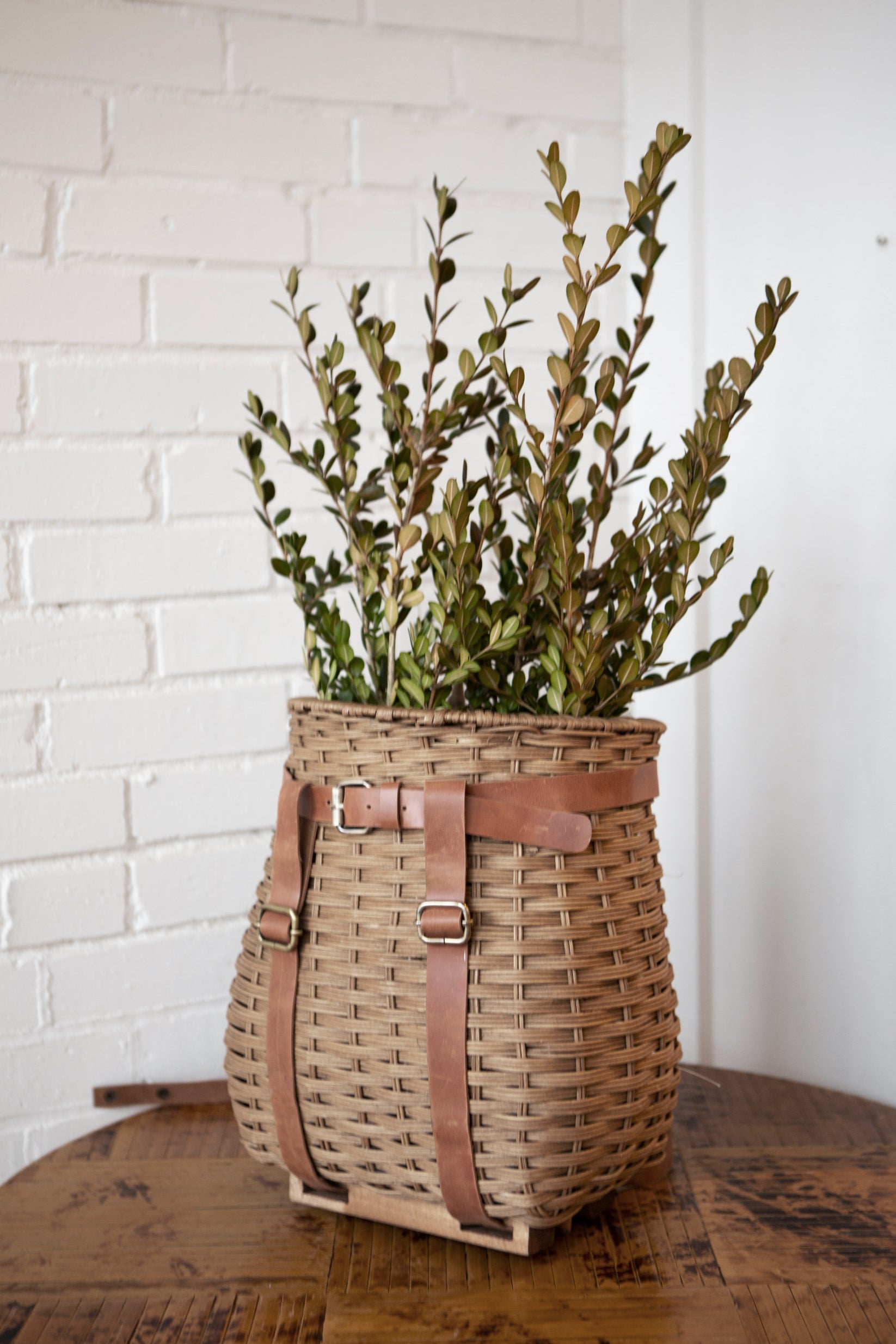 Foraging Backpack – Civil Alchemy St. Louis