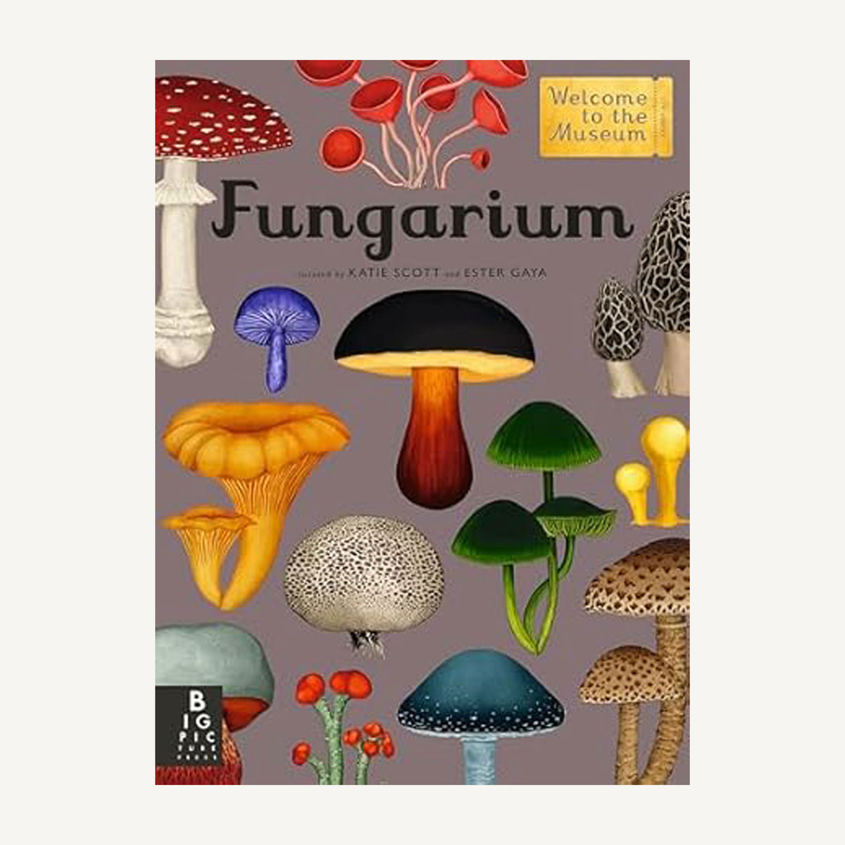 Fungarium – Civil Alchemy St Louis